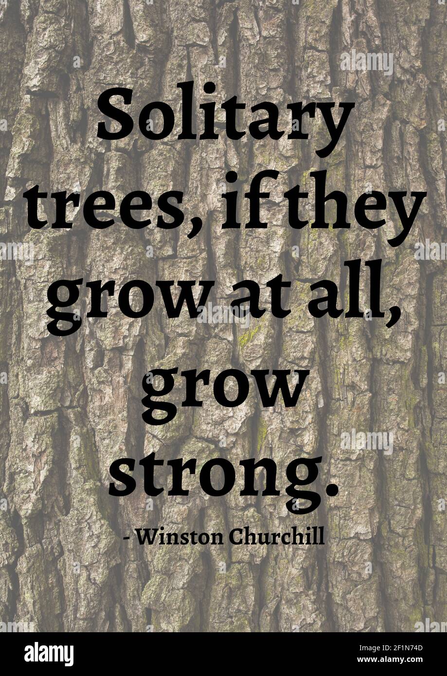 Winston churchill quote hi-res stock photography and images - Alamy
