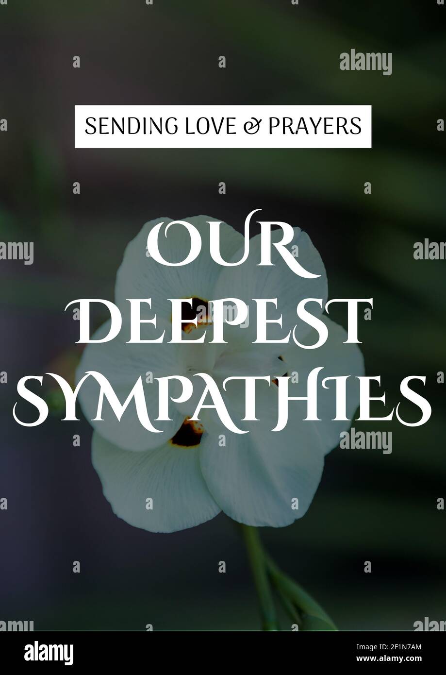 Deepest sympathy hi-res stock photography and images - Alamy