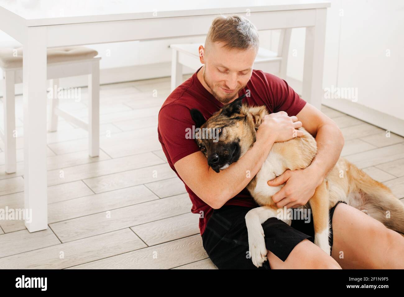 Large Breed Dogs High Resolution Stock Photography and Images - Alamy