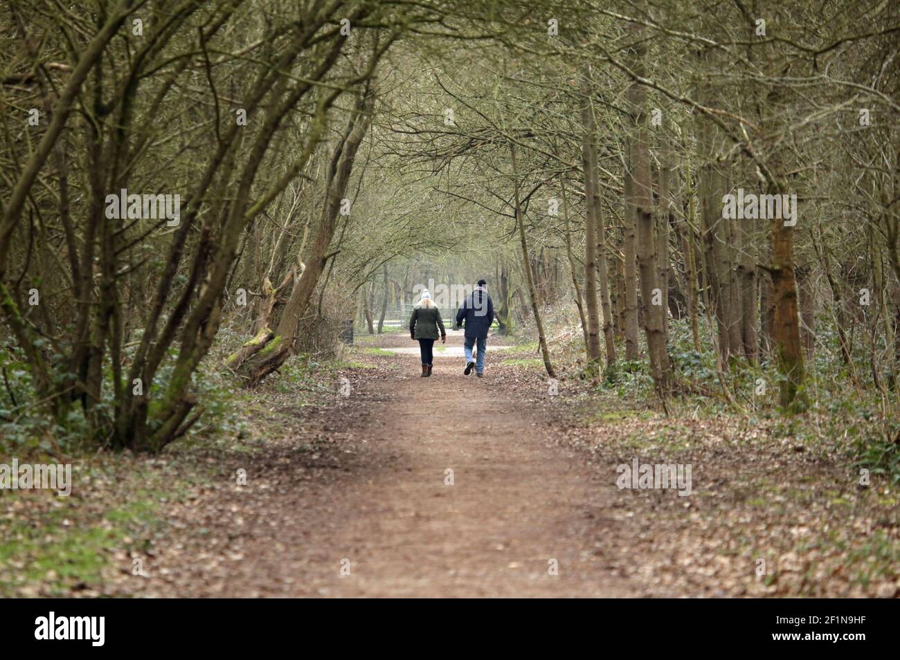 Stanmore country park hi-res stock photography and images - Alamy