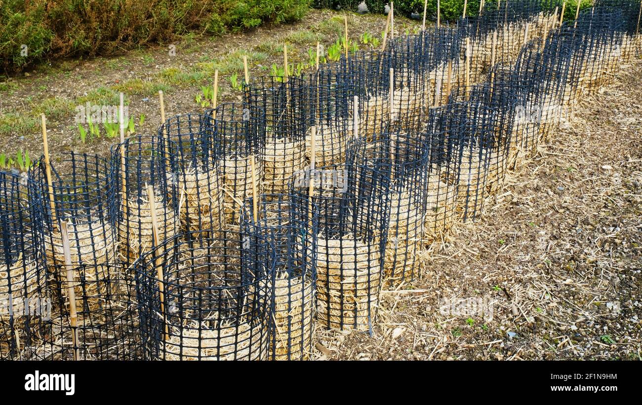 Frost protection hi-res stock photography and images - Alamy