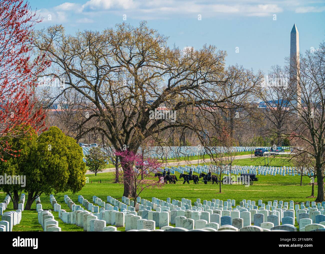 Funeral arlington national cemetery marine hi-res stock photography and ...