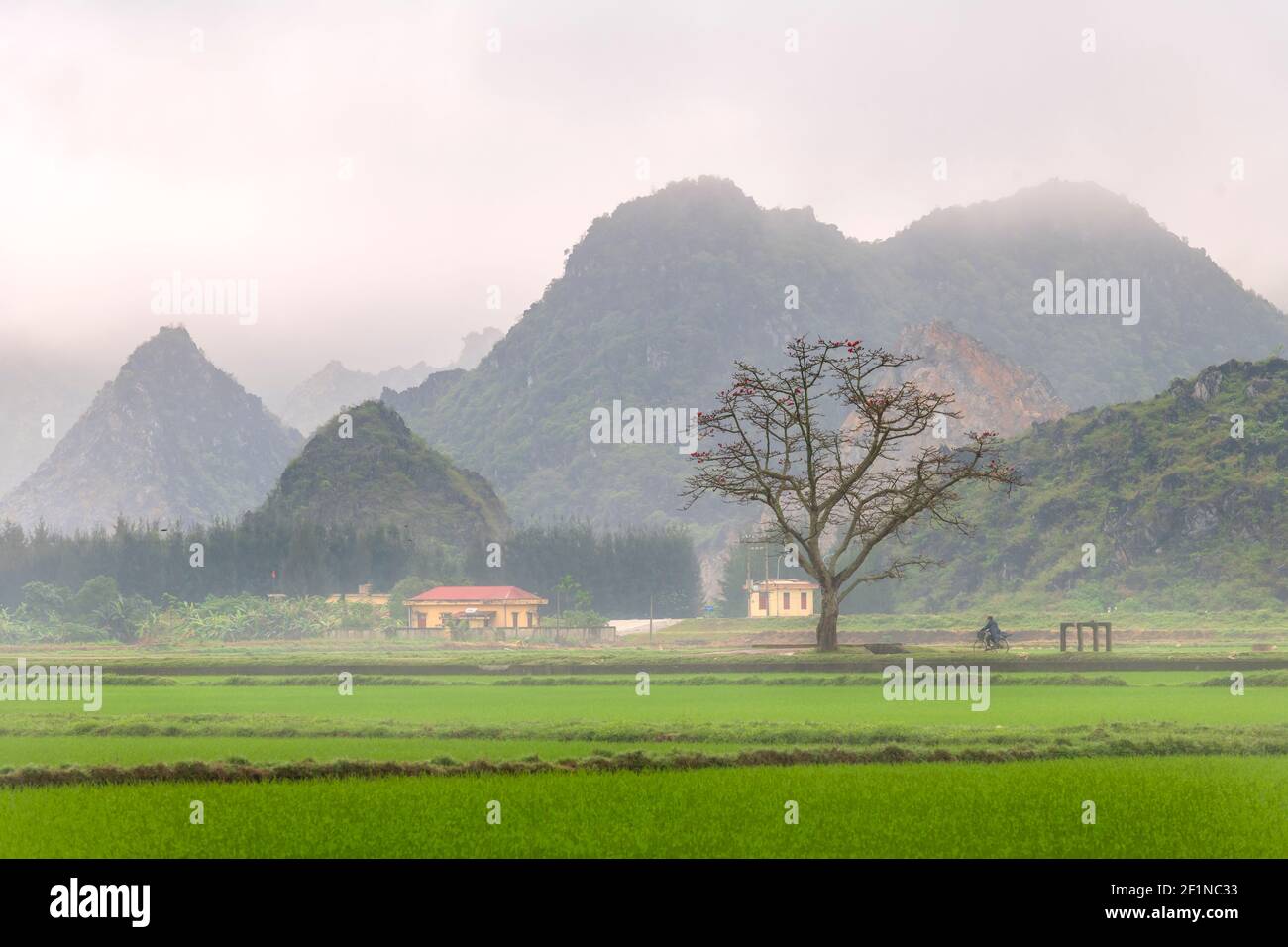 vietnam countryside destination Stock Photo - Alamy