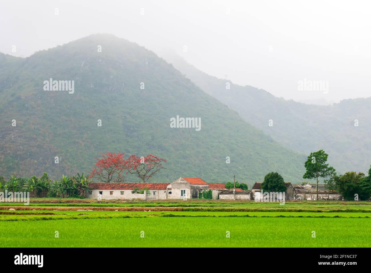 vietnam countryside destination Stock Photo - Alamy