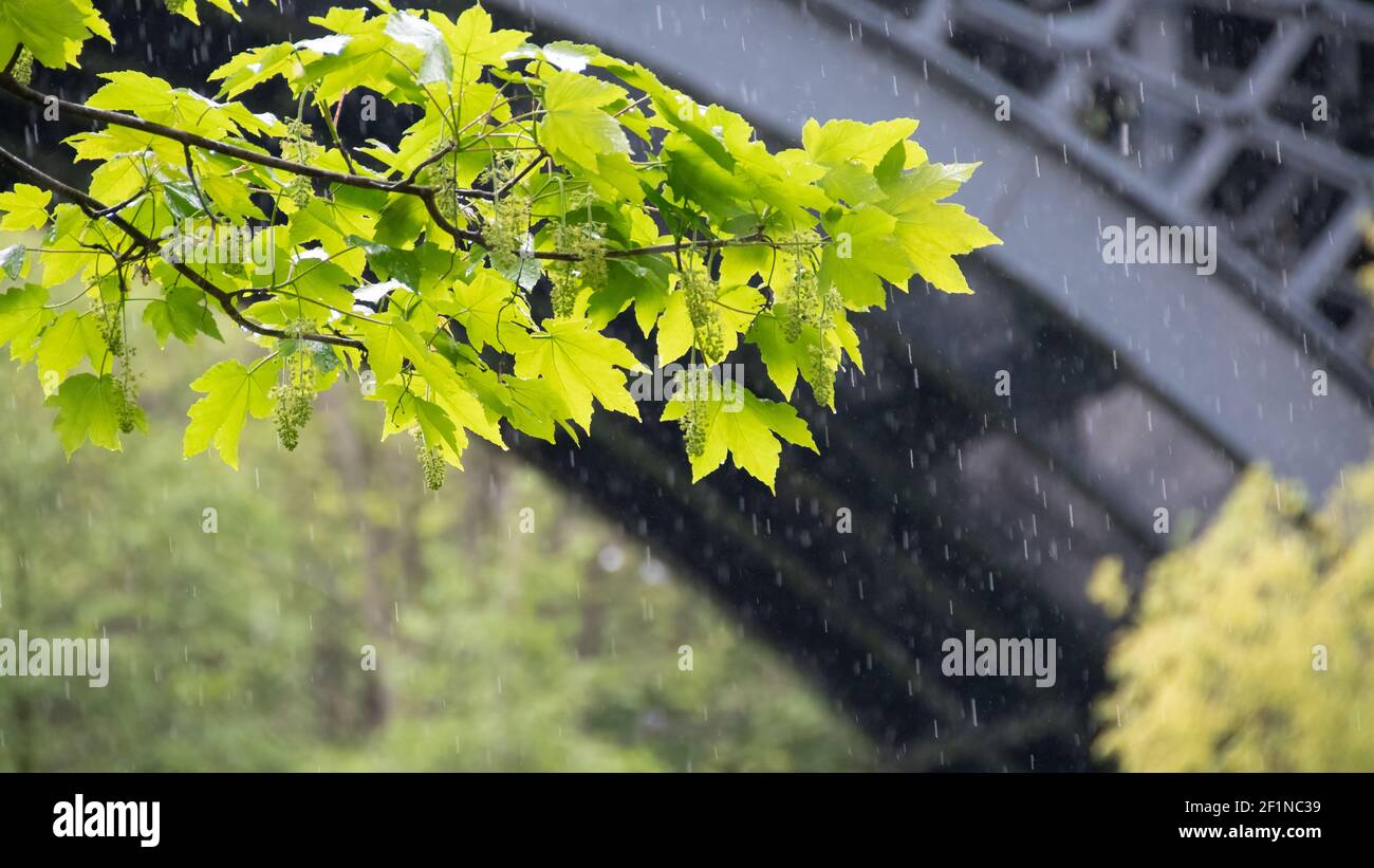 Newcastle upon Tyne Bridge background for editorial work with negative ...