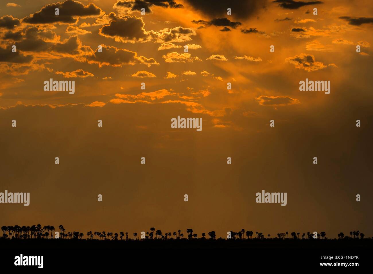 Sunset above the Makgadikgadi Pan Salt Pan, Botswana Stock Photo - Alamy
