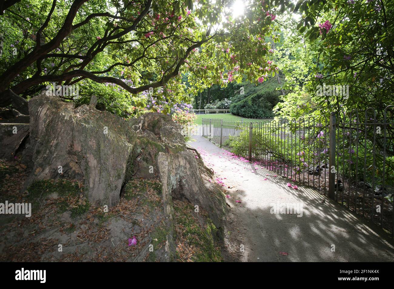 Ayrshire parklife hi-res stock photography and images - Alamy