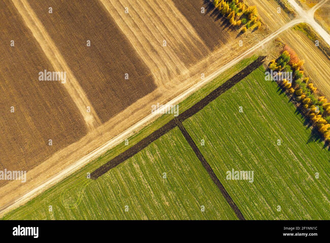 Different crops hi-res stock photography and images - Alamy