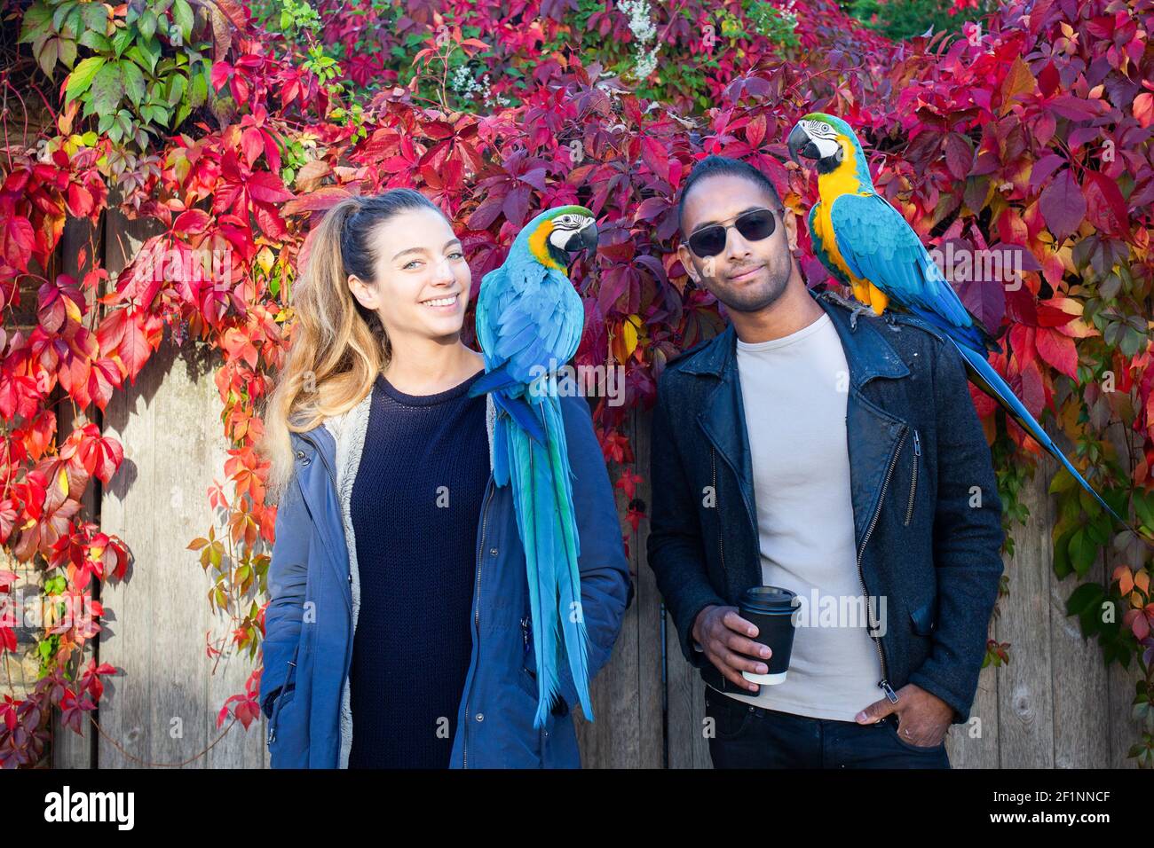 Musicians Claire Atallah and Nimal Fernando who live in Wimbledon ...