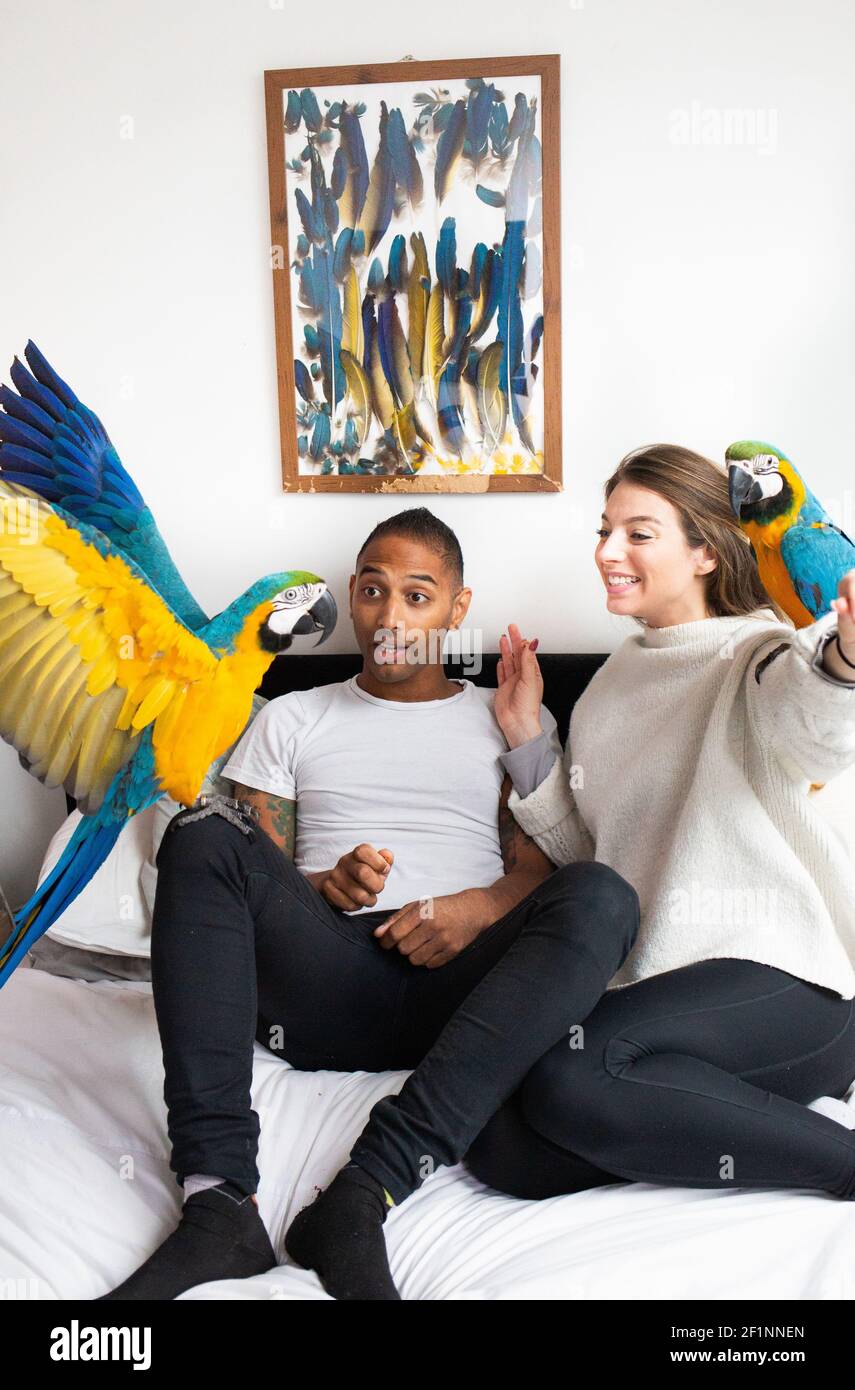 Wimbledon new zealand hi-res stock photography and images - Alamy