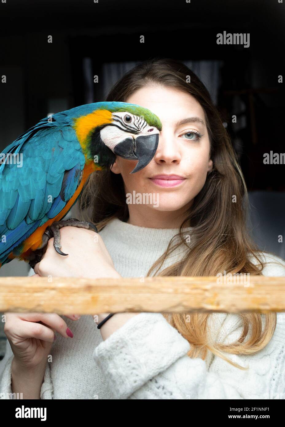 Mia the pet Macaw pictured with owner Claire Atallah. Claire and Nimal ...
