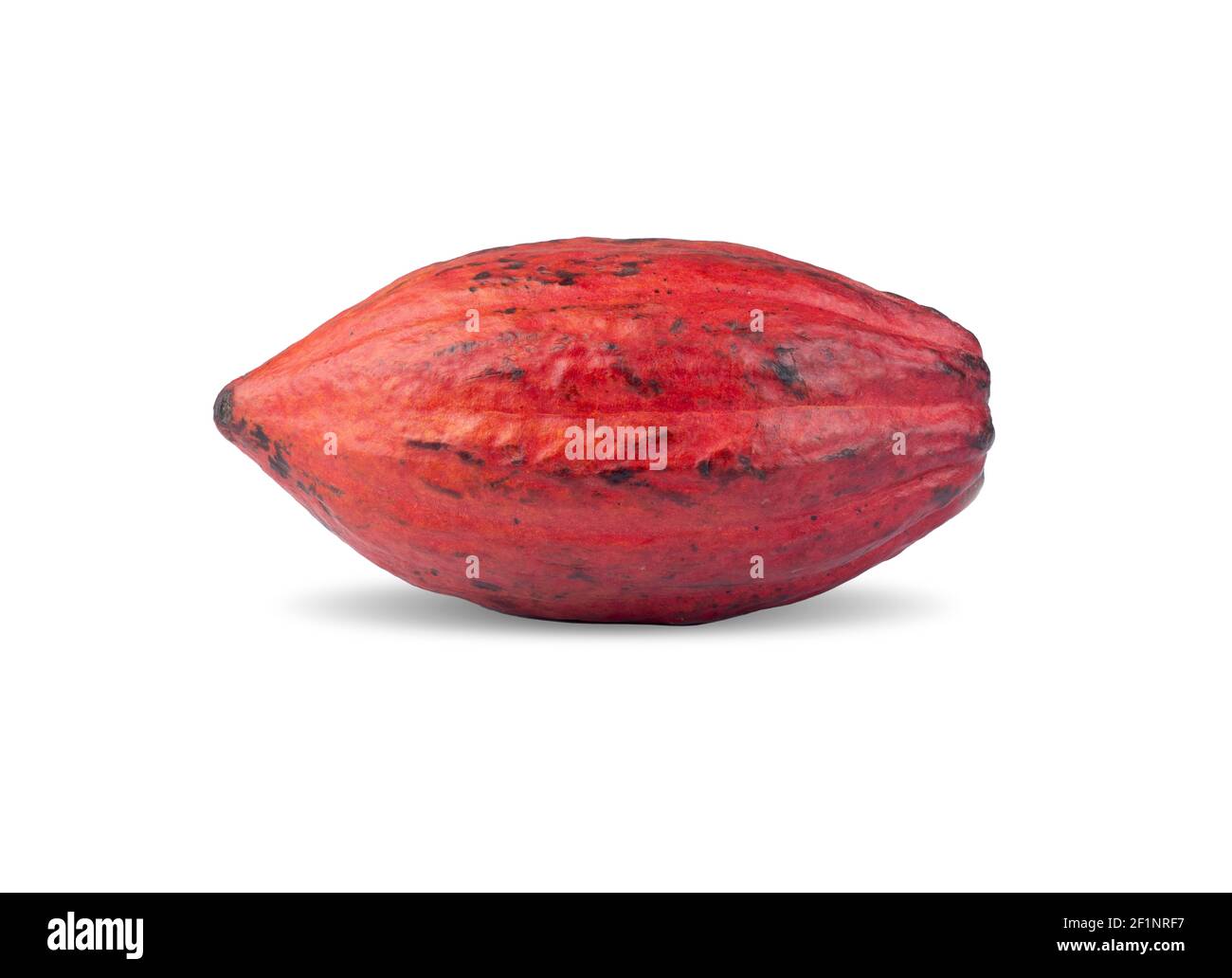 Red cocoa fruit hi-res stock photography and images - Alamy