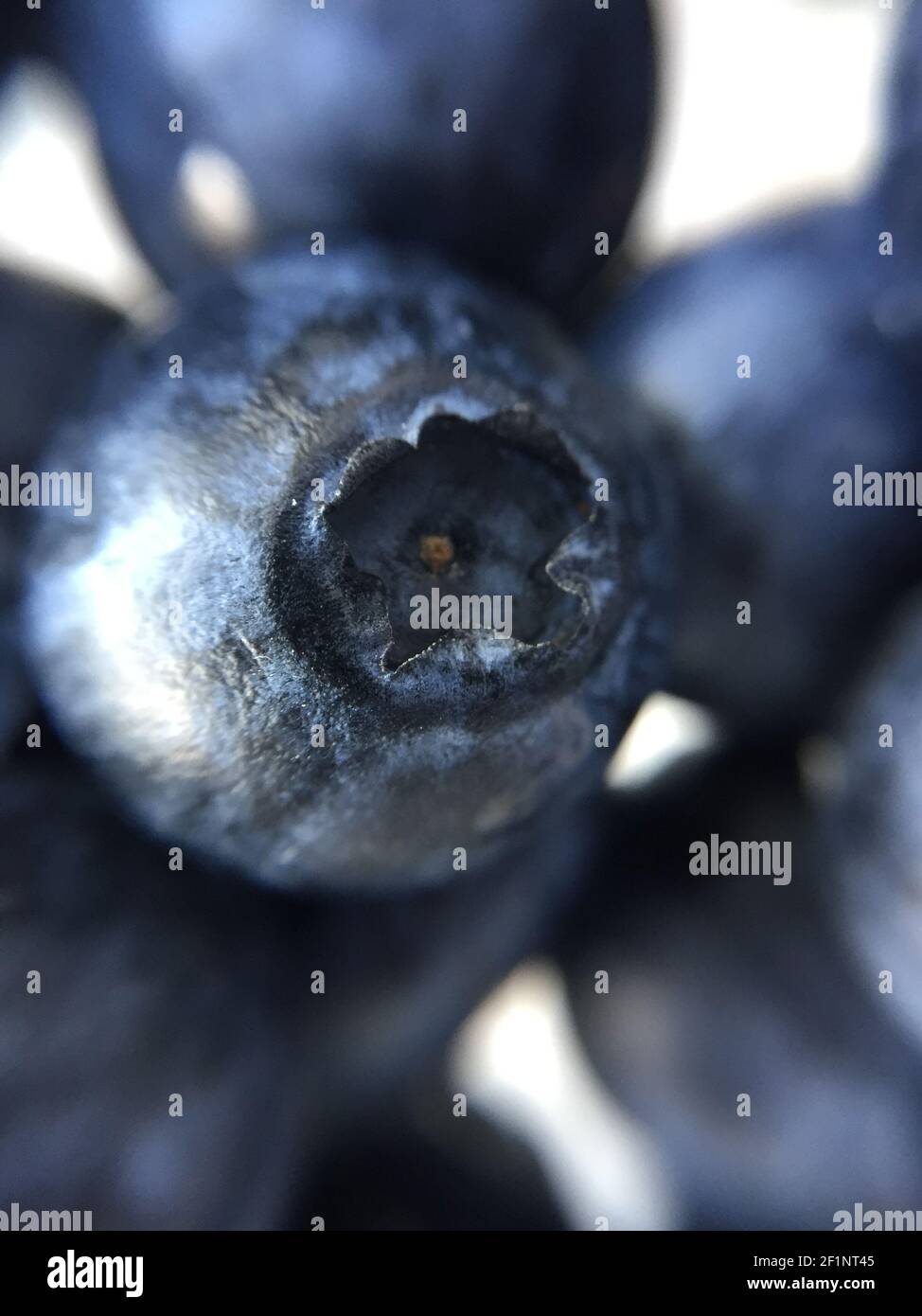 Blueber hi-res stock photography and images - Alamy