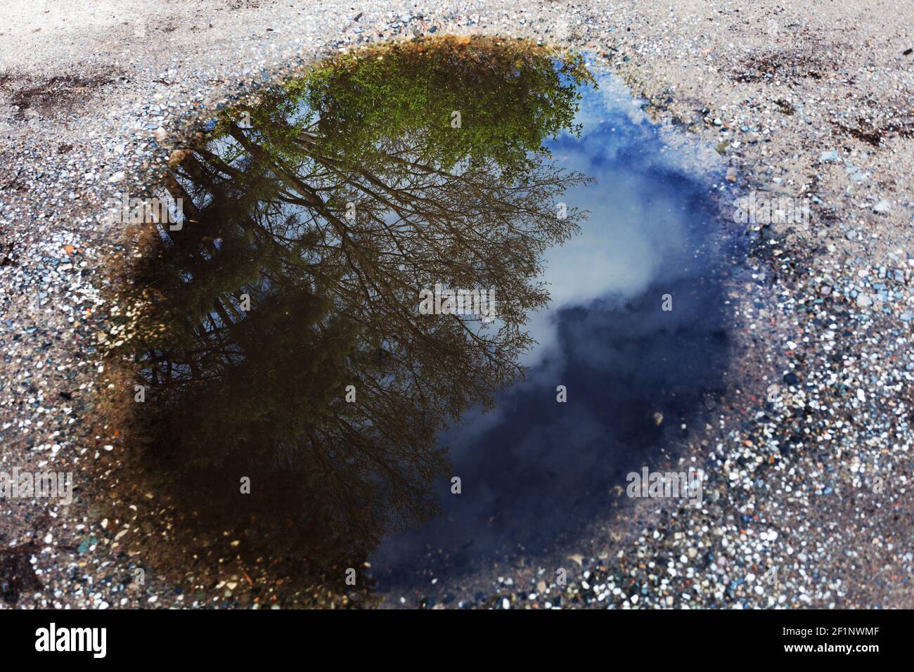 Puddle picture hi-res stock photography and images - Alamy