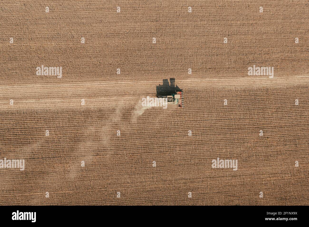 Soil potato plant top view hi-res stock photography and images - Alamy