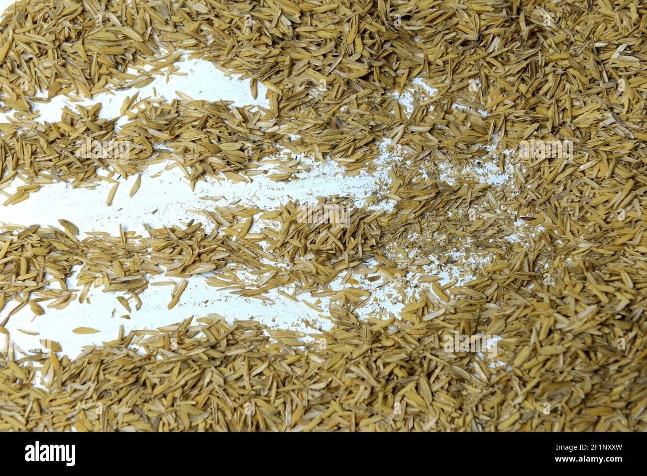 Raw rice with white background Stock Photo - Alamy