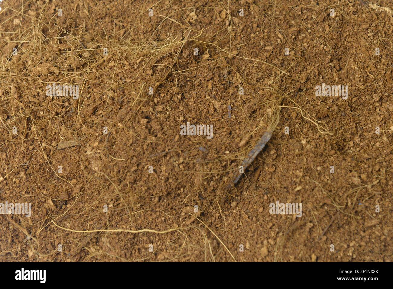 Close up view of soil ground texture for background Stock Photo - Alamy