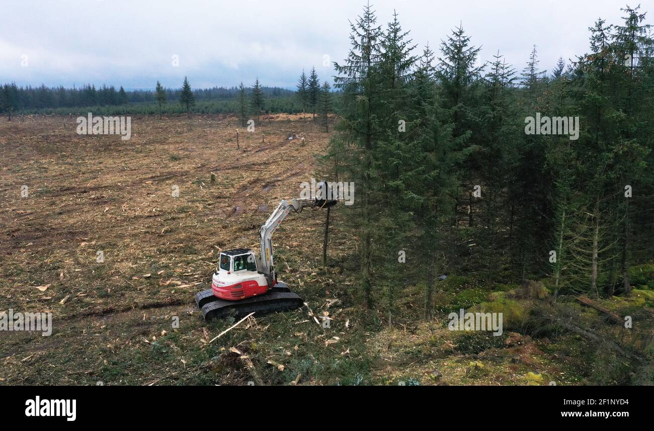 A vertical mulcher machine is used to clear trees during the ...