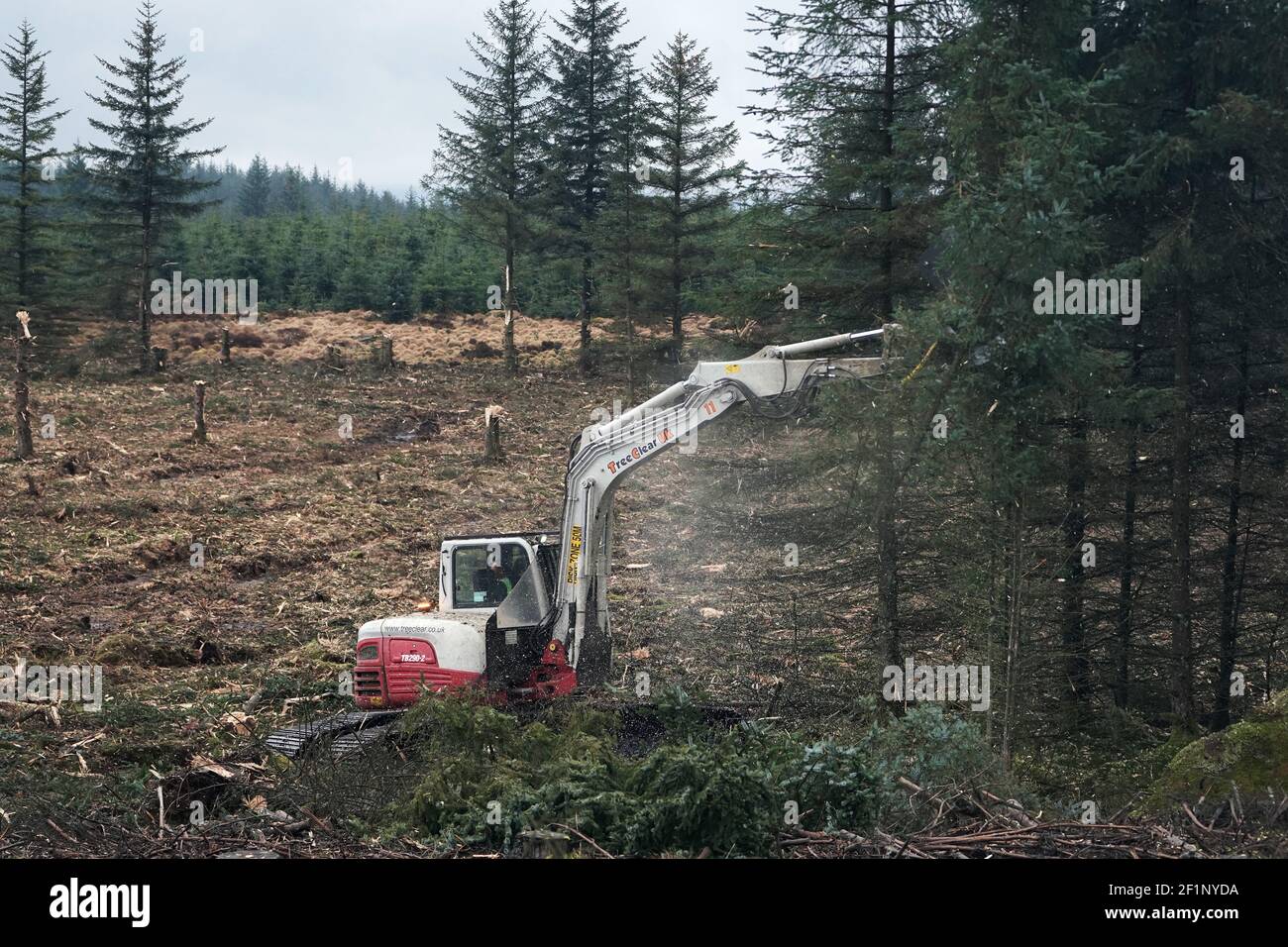 A vertical mulcher machine is used to clear trees during the ...