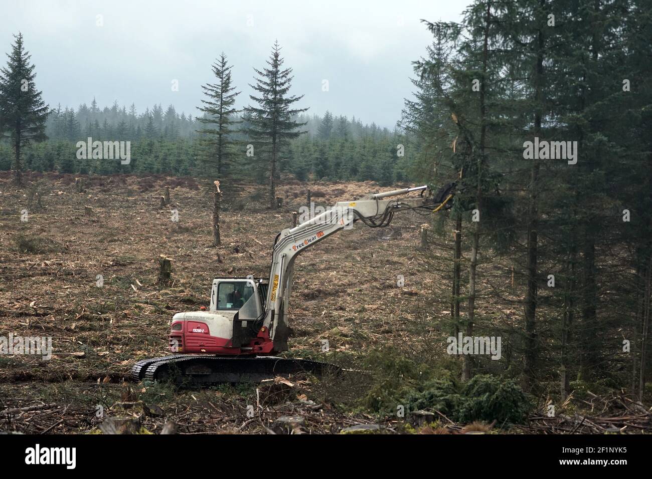 A vertical mulcher machine is used to clear trees during the ...