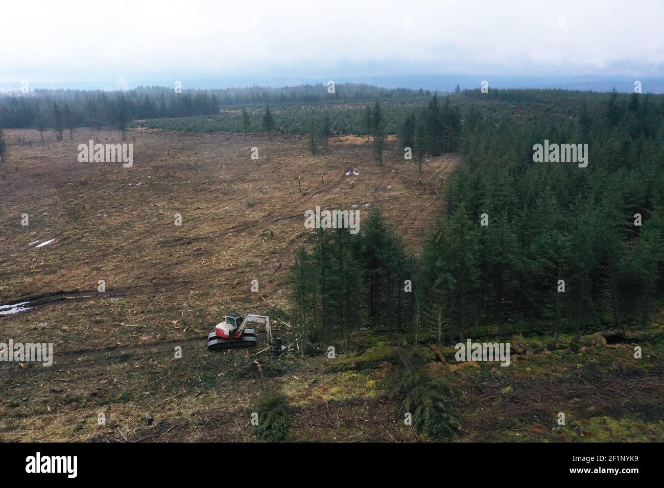 A vertical mulcher machine is used to clear trees during the ...