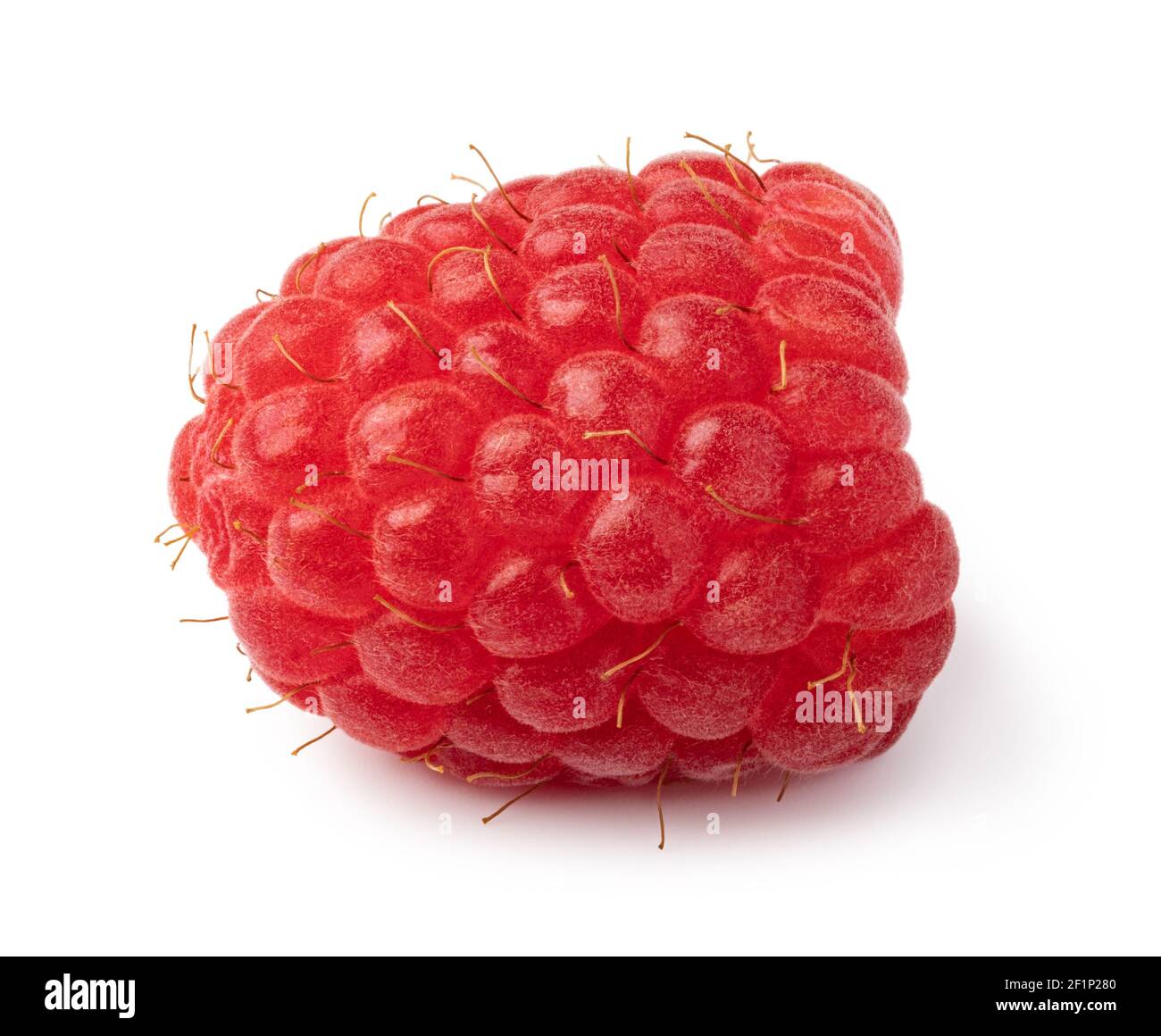 Raspberry plant detail Cut Out Stock Images & Pictures - Alamy