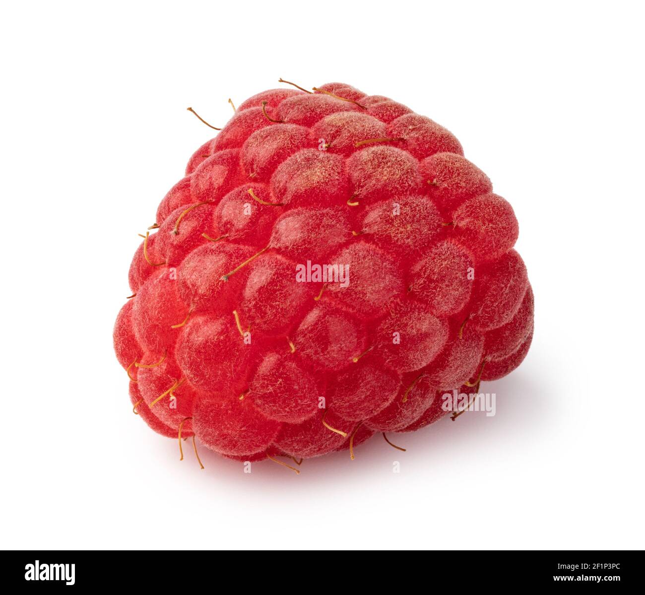 Particulars Cut Out Stock Images & Pictures - Alamy