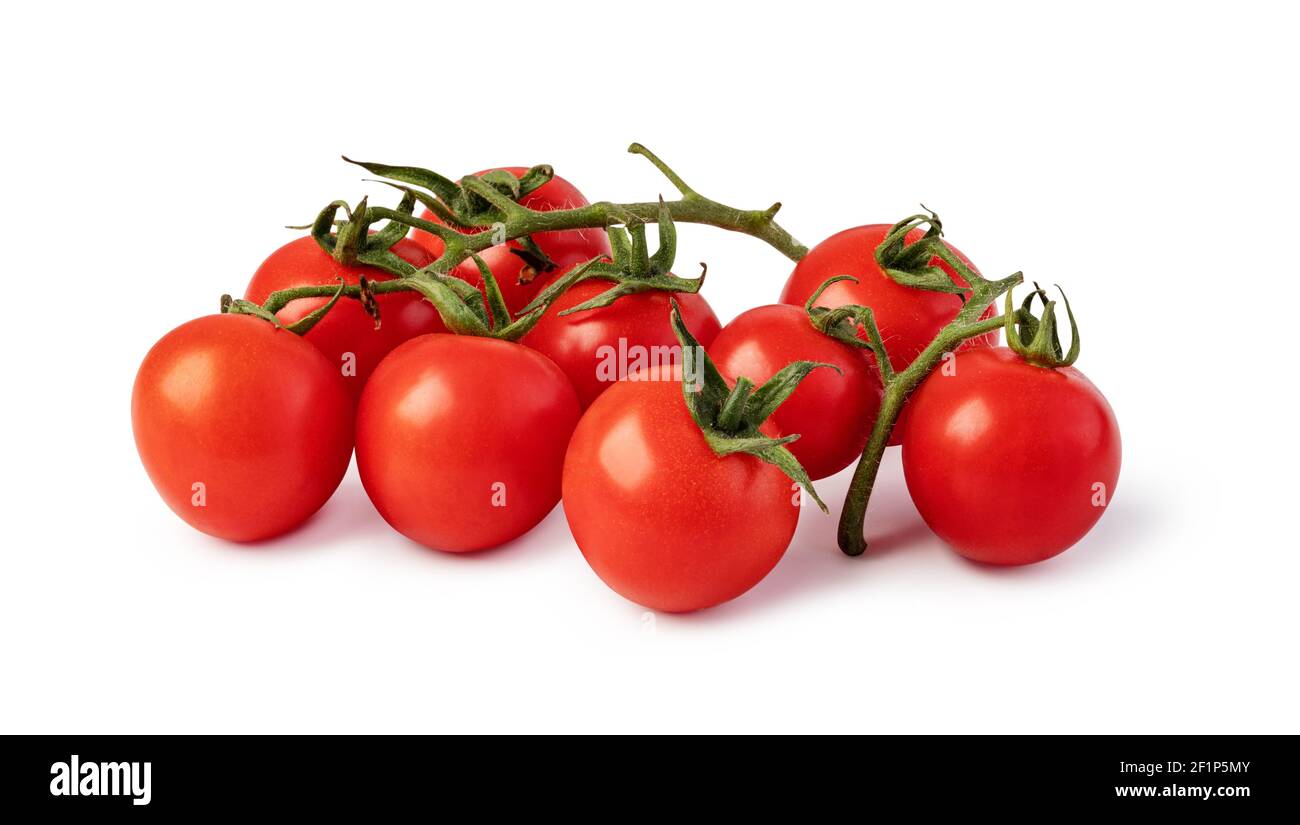 Tomato branch hi-res stock photography and images - Alamy