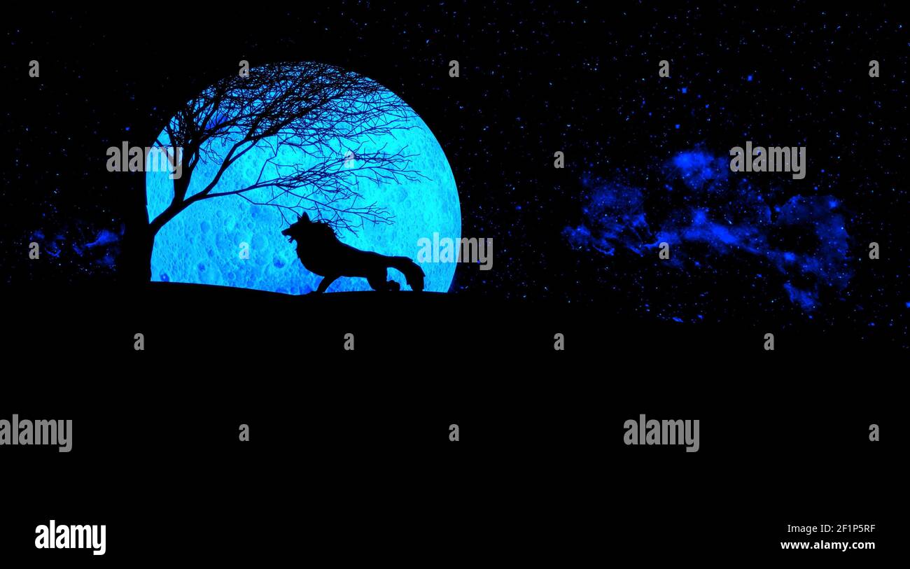 Illustration of Wolf howling during full moon night, Blue moon, A howl ...