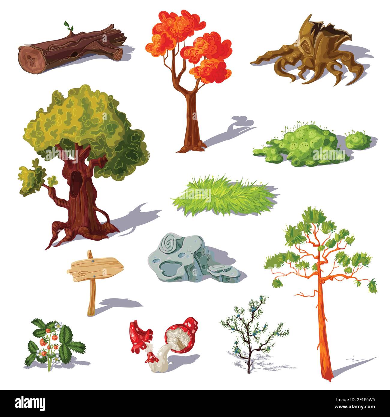Forest elements set with coniferous and deciduous trees mushrooms and ...