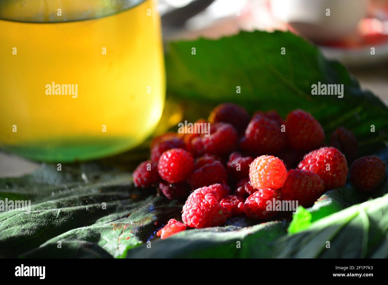 Summer delicacies hi-res stock photography and images - Alamy
