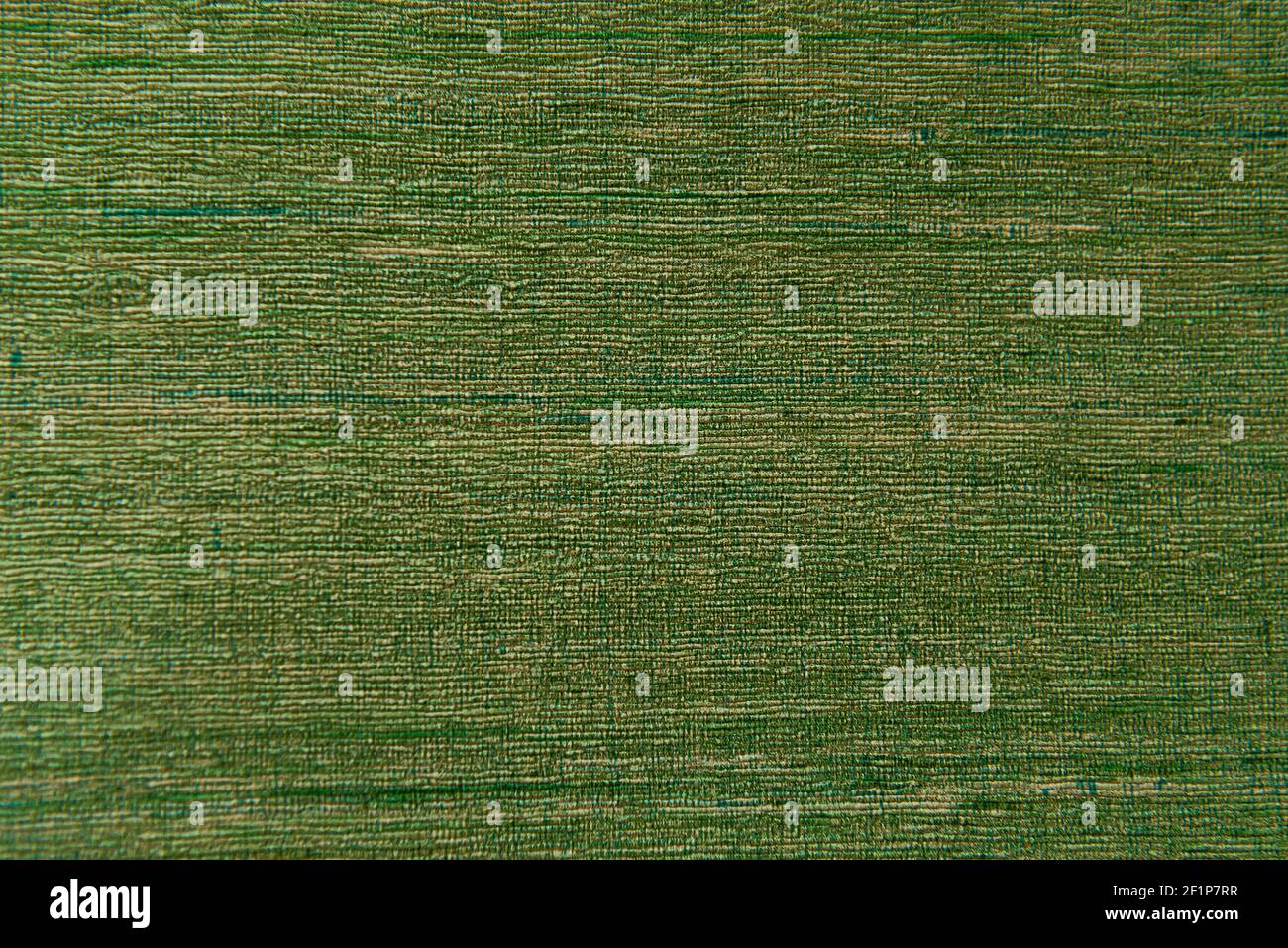 bright green, textured wallpaper background, top view Stock Photo - Alamy
