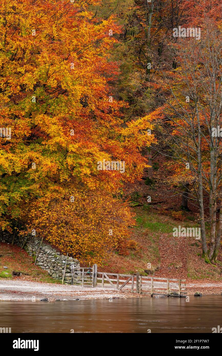 Lake District in autumn colours at Grasmere Stock Photo - Alamy