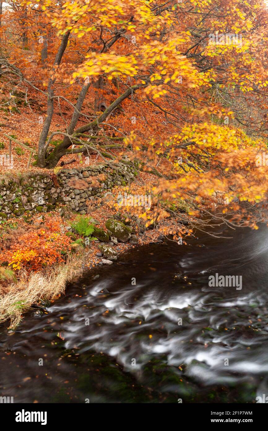 Lake District in autumn colours at Grasmere Stock Photo - Alamy