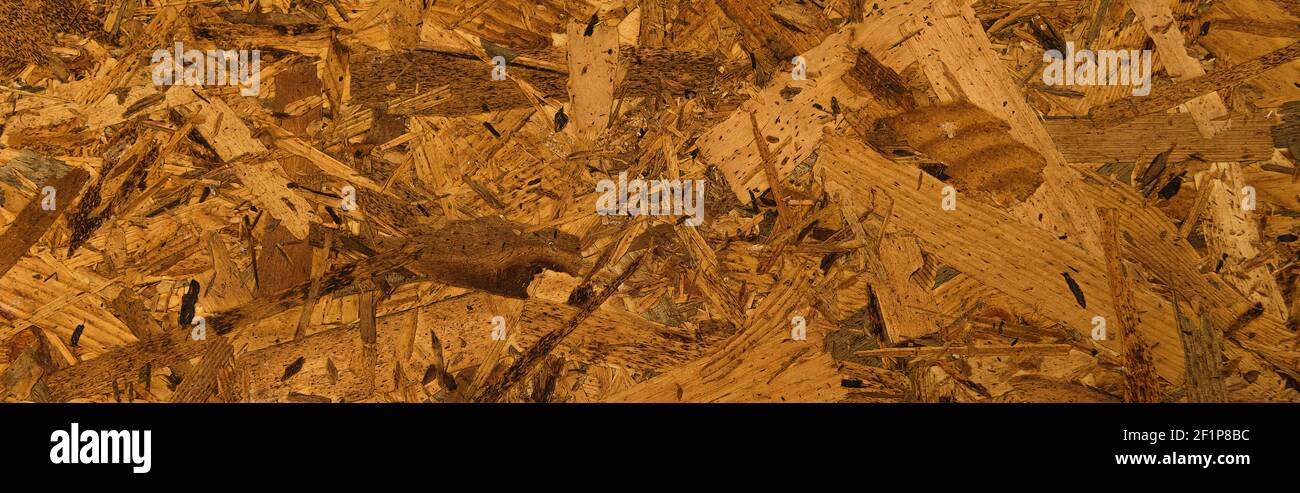 natural plywood textured background, top view, banner Stock Photo - Alamy