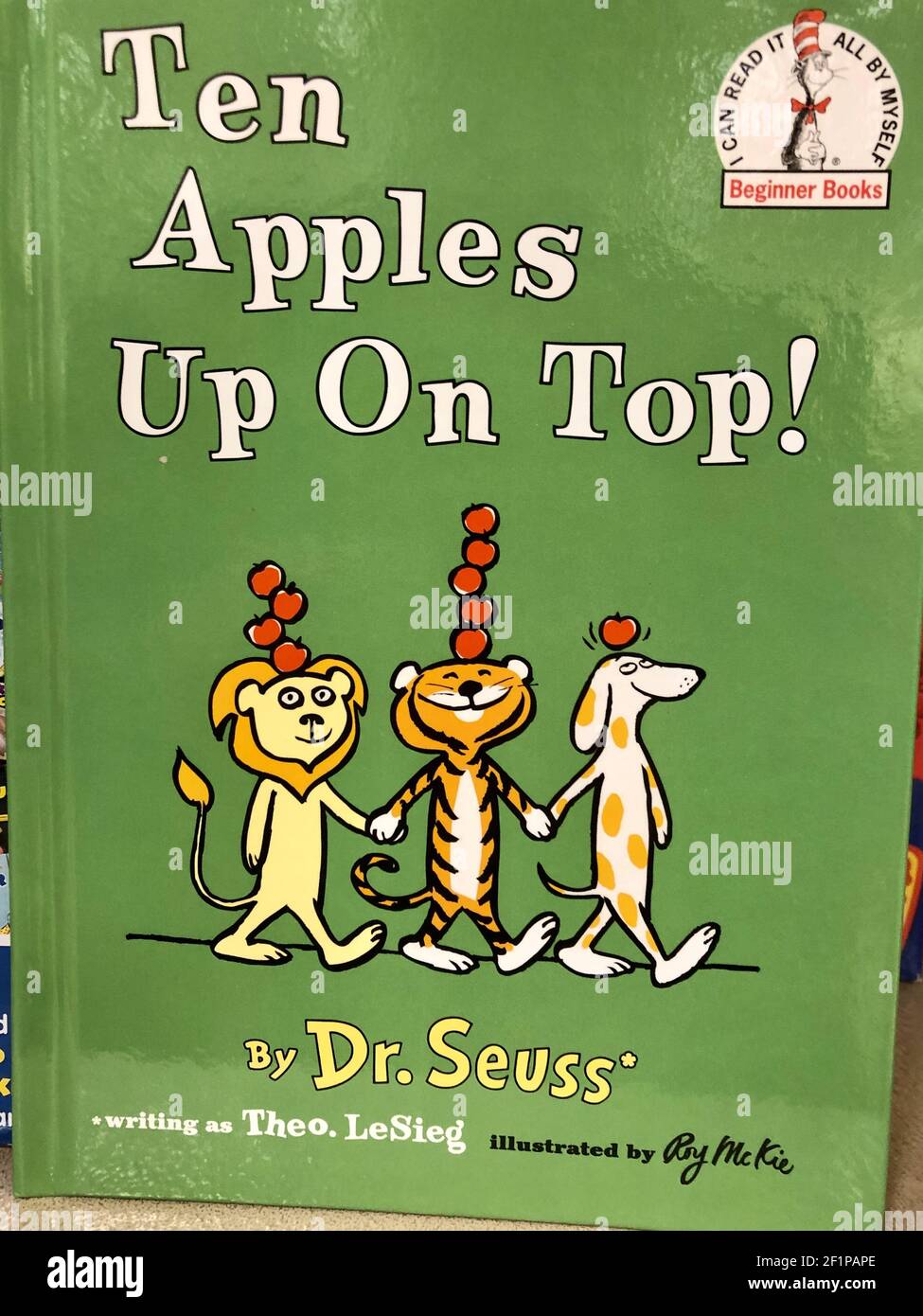 OCEAN SPRINGS, UNITED STATES - Mar 04, 2021: Close-up of children’s ...