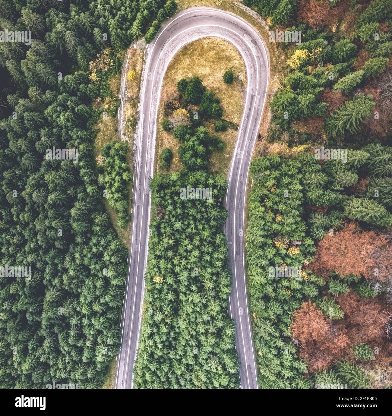 Top view of road turn surrounded with pine wood Stock Photo - Alamy