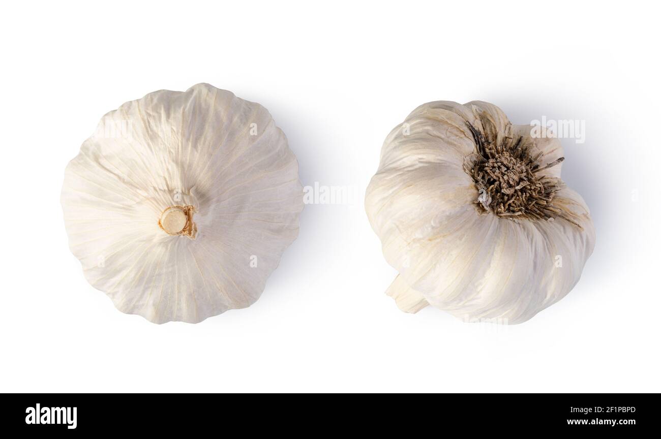 Fresh garlic on white background Stock Photo - Alamy