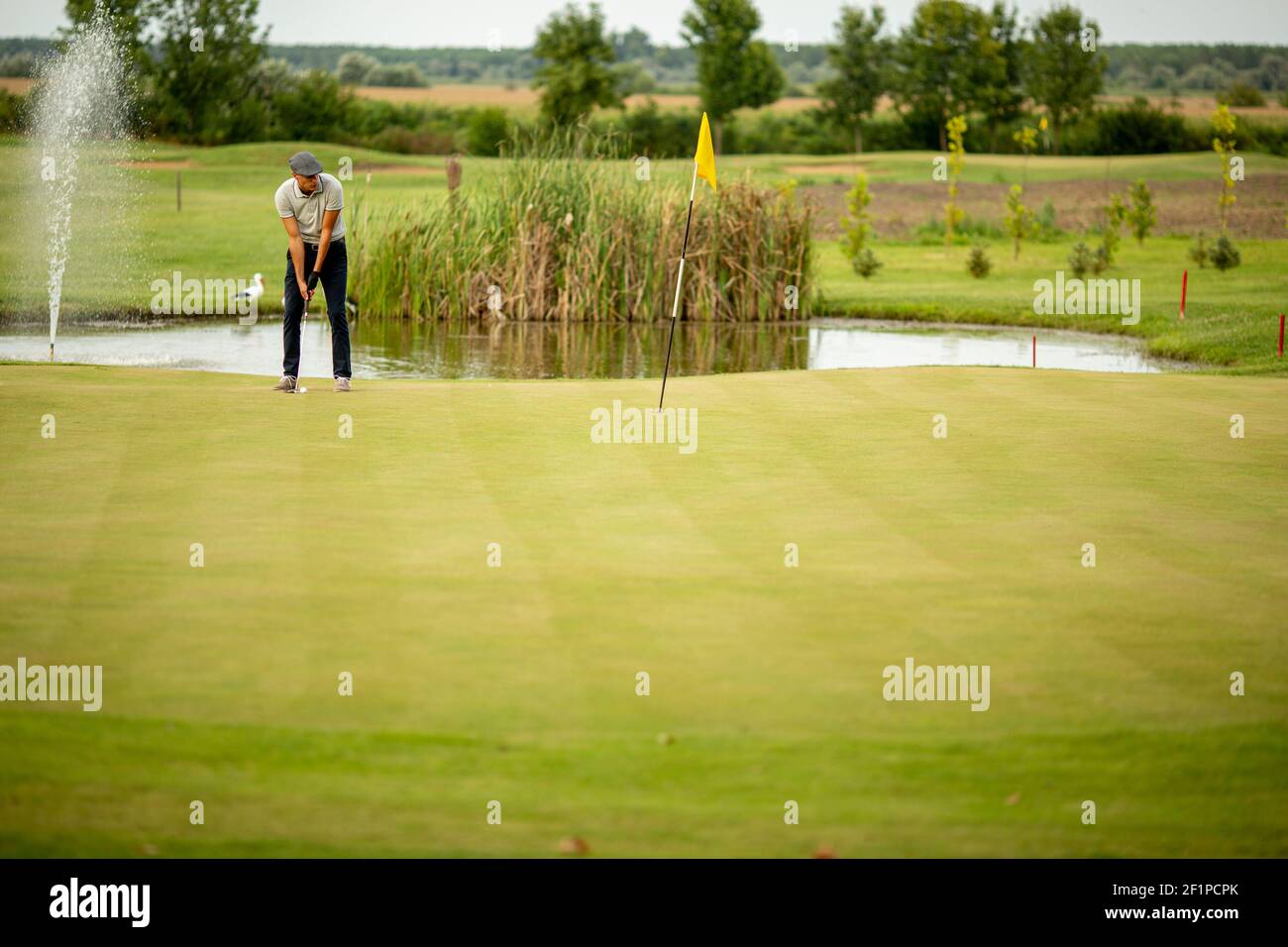 Handsome young man playing golf Stock Photo - Alamy