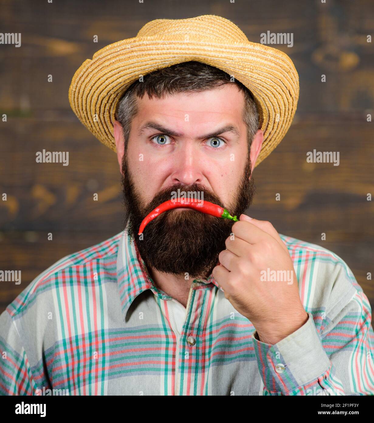 Pepper harvest concept bearded hi-res stock photography and images - Alamy