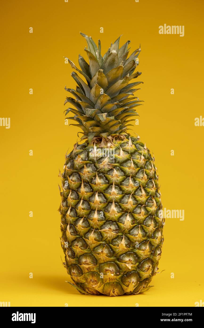 Short spikey hi-res stock photography and images - Alamy