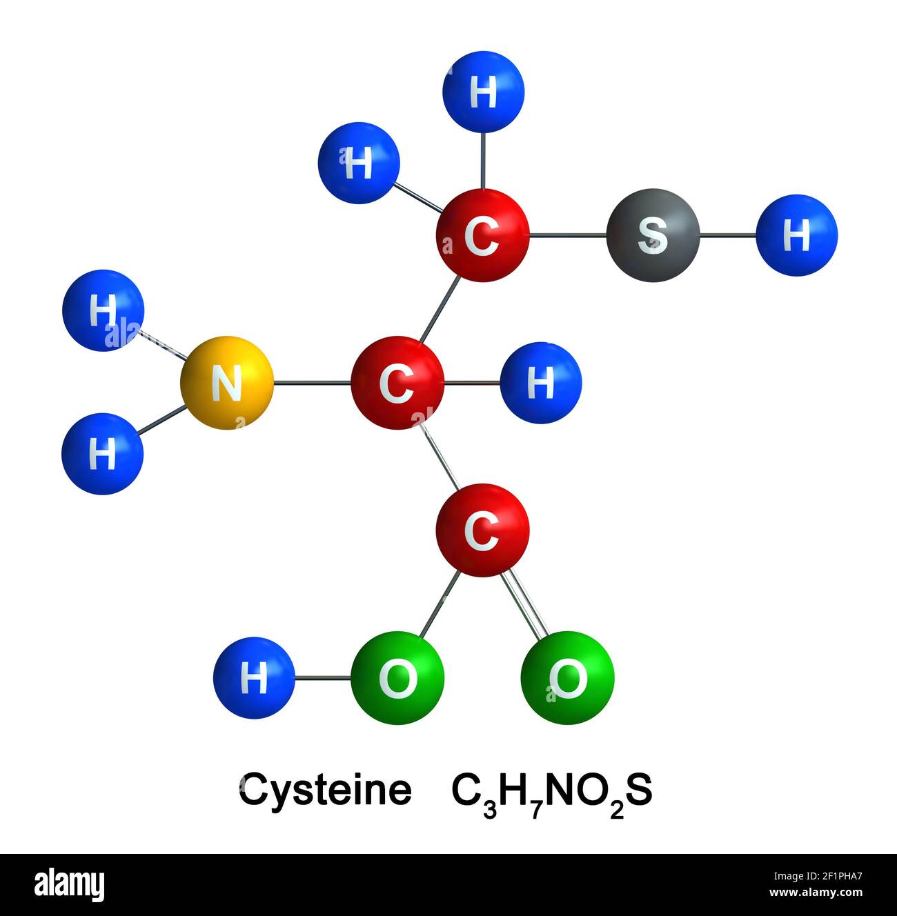 Cysteine hi-res stock photography and images - Alamy