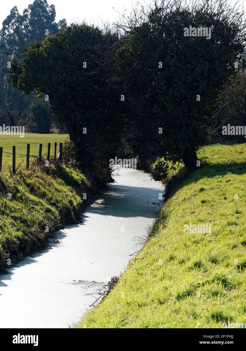 Rhyne drainage ditch hi-res stock photography and images - Alamy