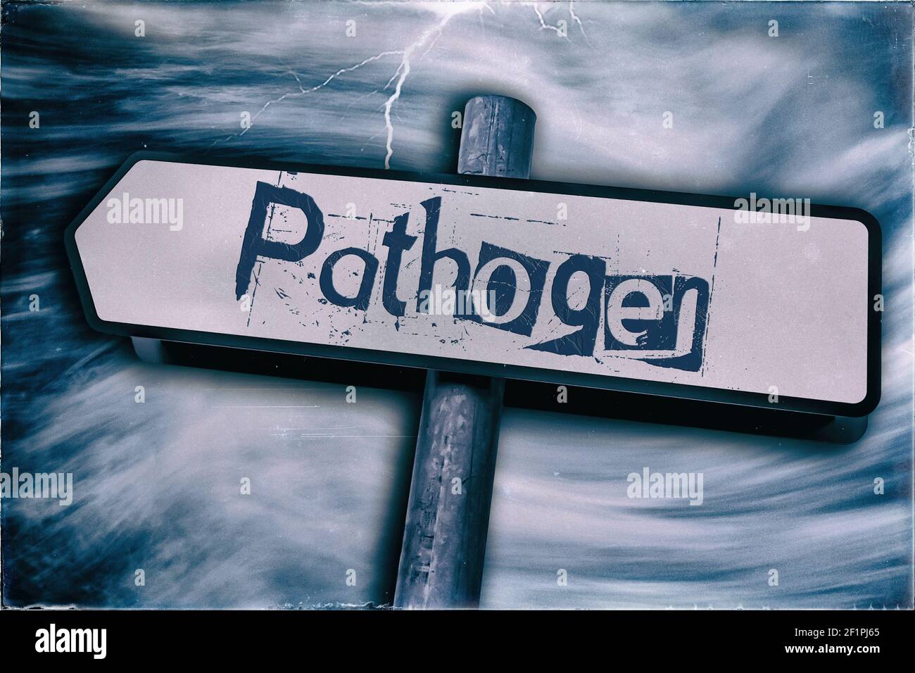 Disease causing fungi hi-res stock photography and images - Alamy