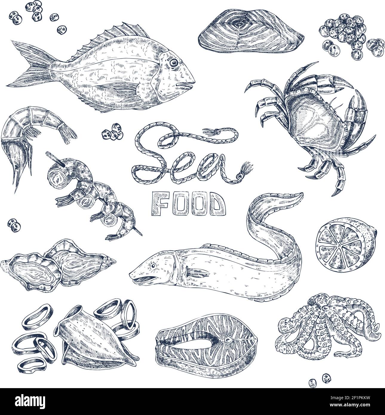 Set of isolated monochrome sketches with seafood including fishes squid ...