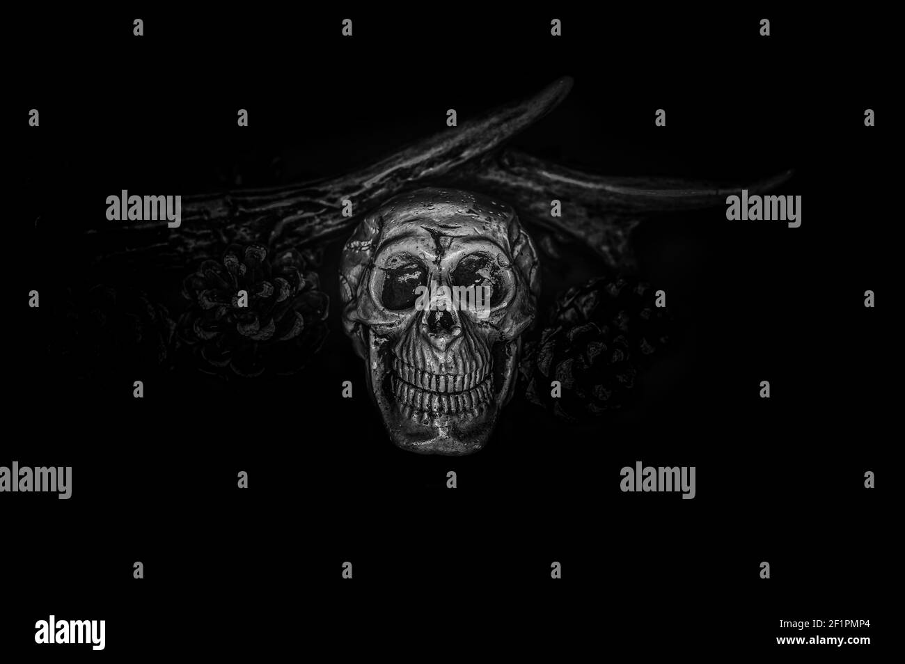 Skull engraving hi-res stock photography and images - Alamy