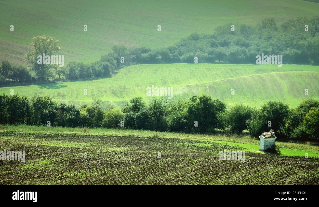 View panoramic grass forest hi-res stock photography and images - Alamy