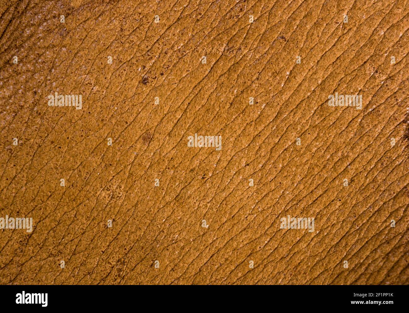 Old vintage genuine soft brown leather texture background, top layer ...