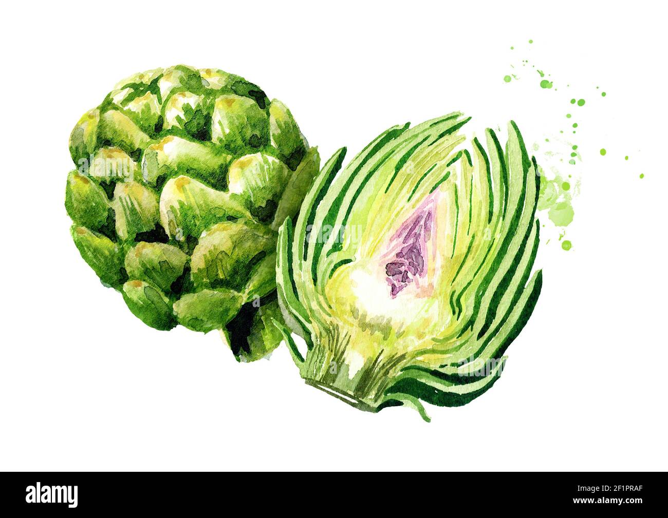 Artischockenillustration
