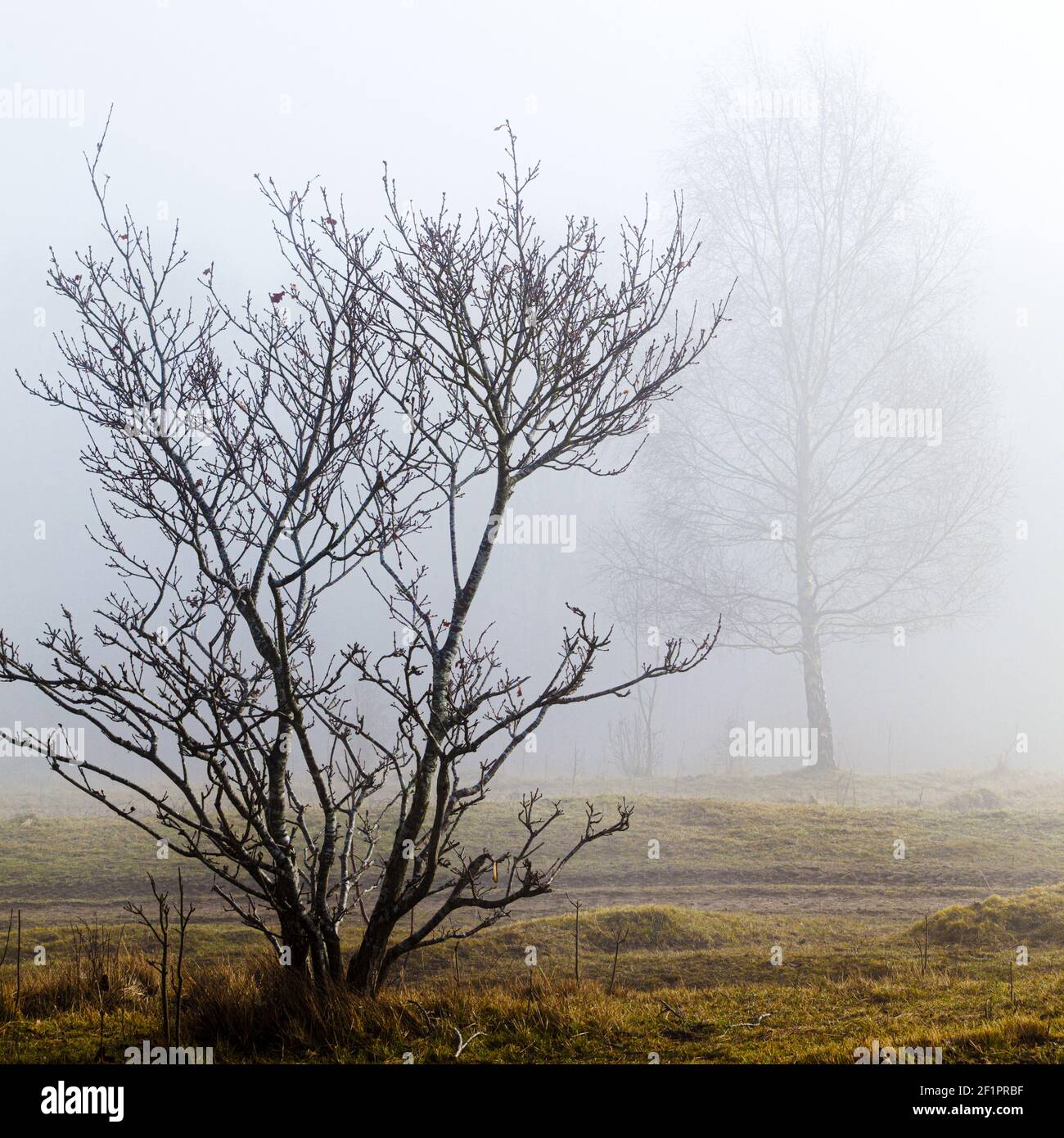 Edge foggy hi-res stock photography and images - Alamy